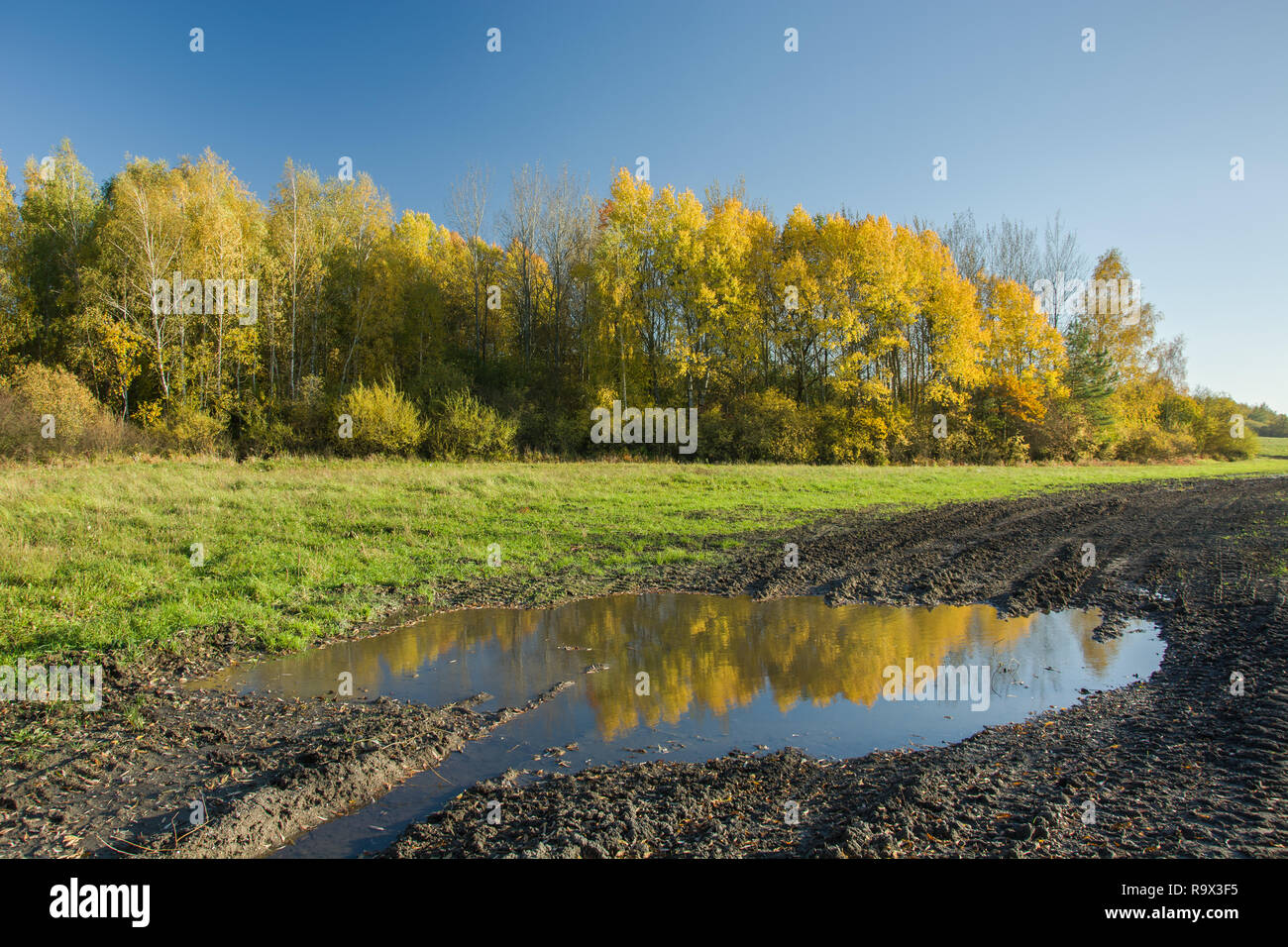Puddle on dirt road after hi-res stock photography and images - Alamy