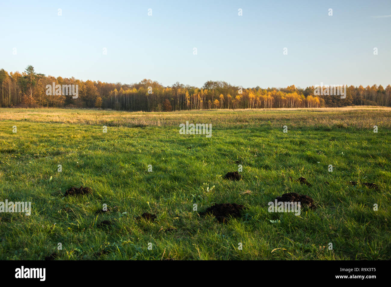 Colorful mounds hi-res stock photography and images - Alamy