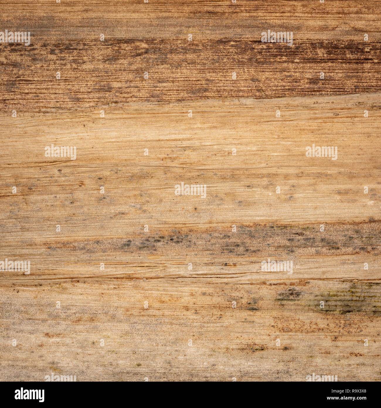Thai banana paper background, Banana Plank Paper is created by piecing ...
