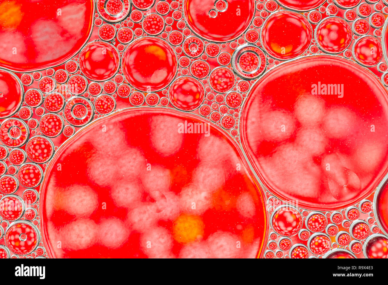 Abstract background of red oil drops on water Stock Photo - Alamy