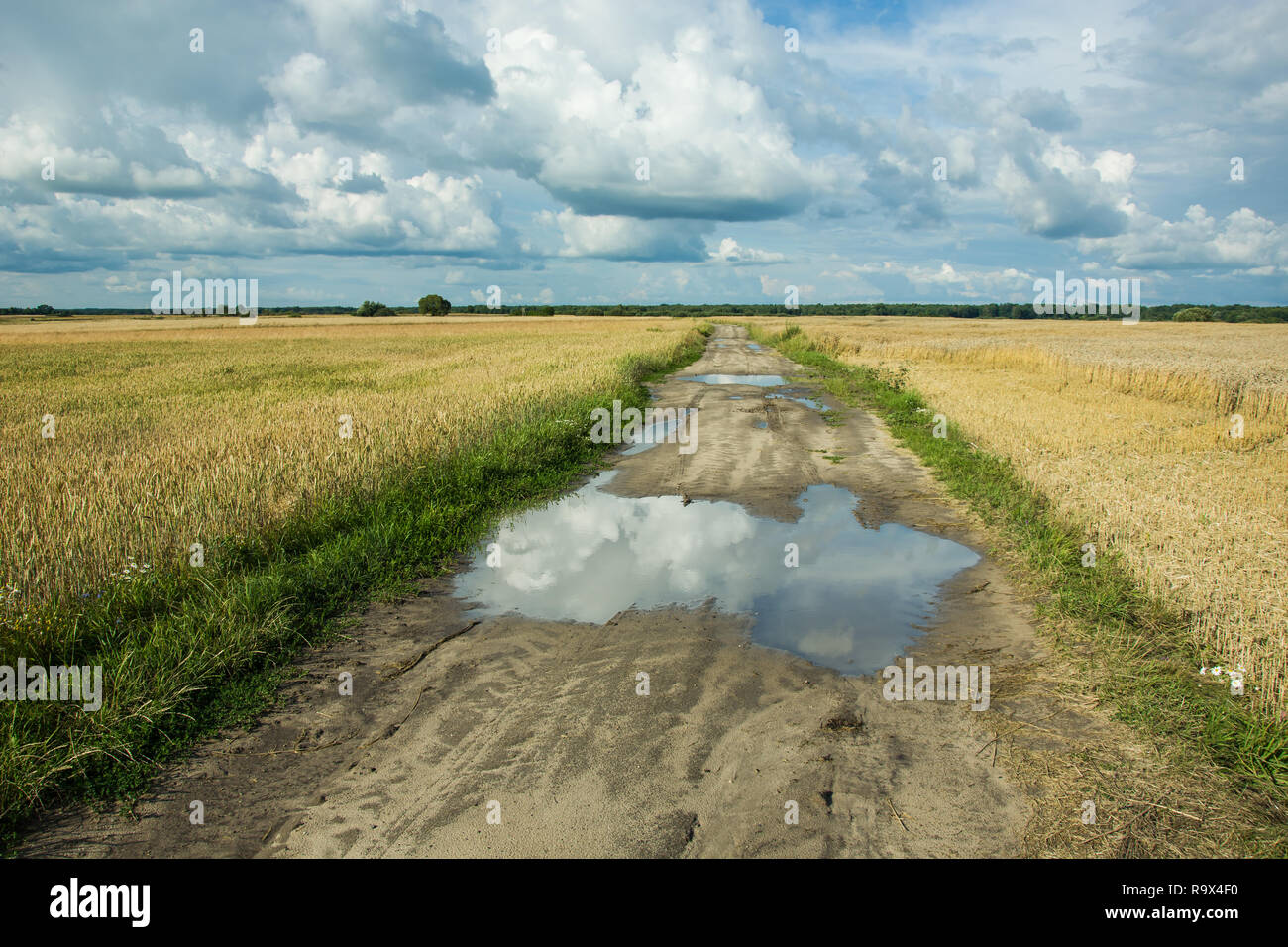 Puddle field hi-res stock photography and images - Alamy