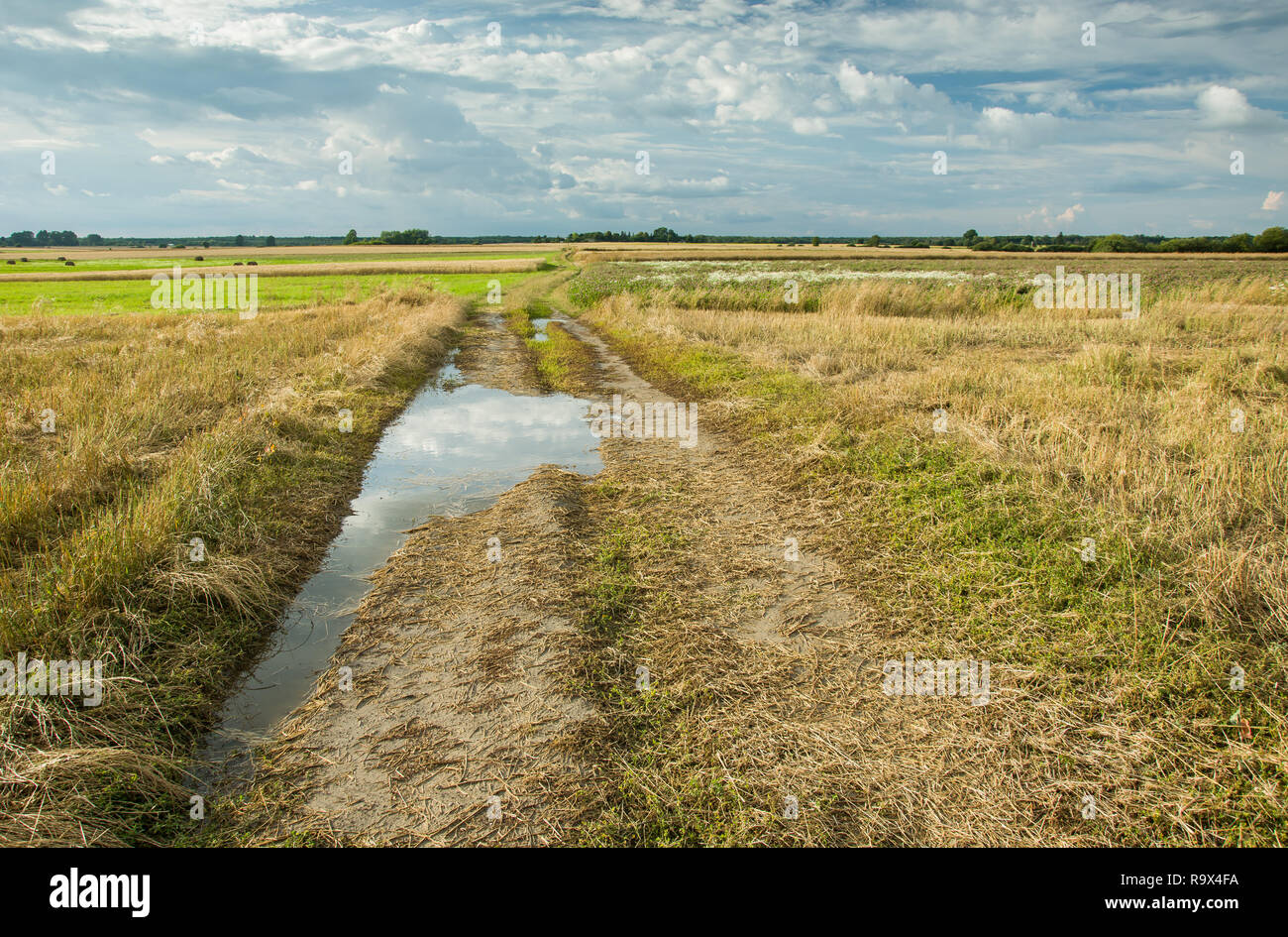 Puddle Field High Resolution Stock Photography and Images - Alamy