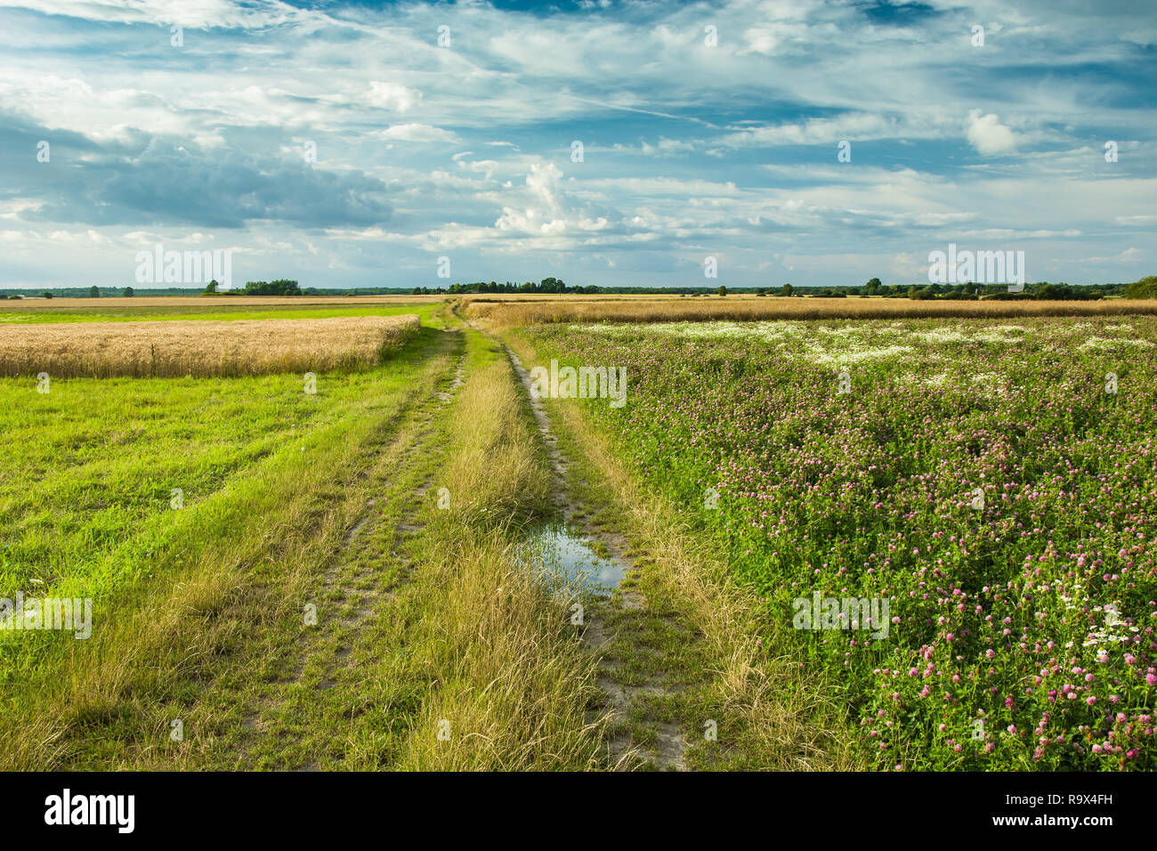 Dirt road through nature hi-res stock photography and images - Alamy