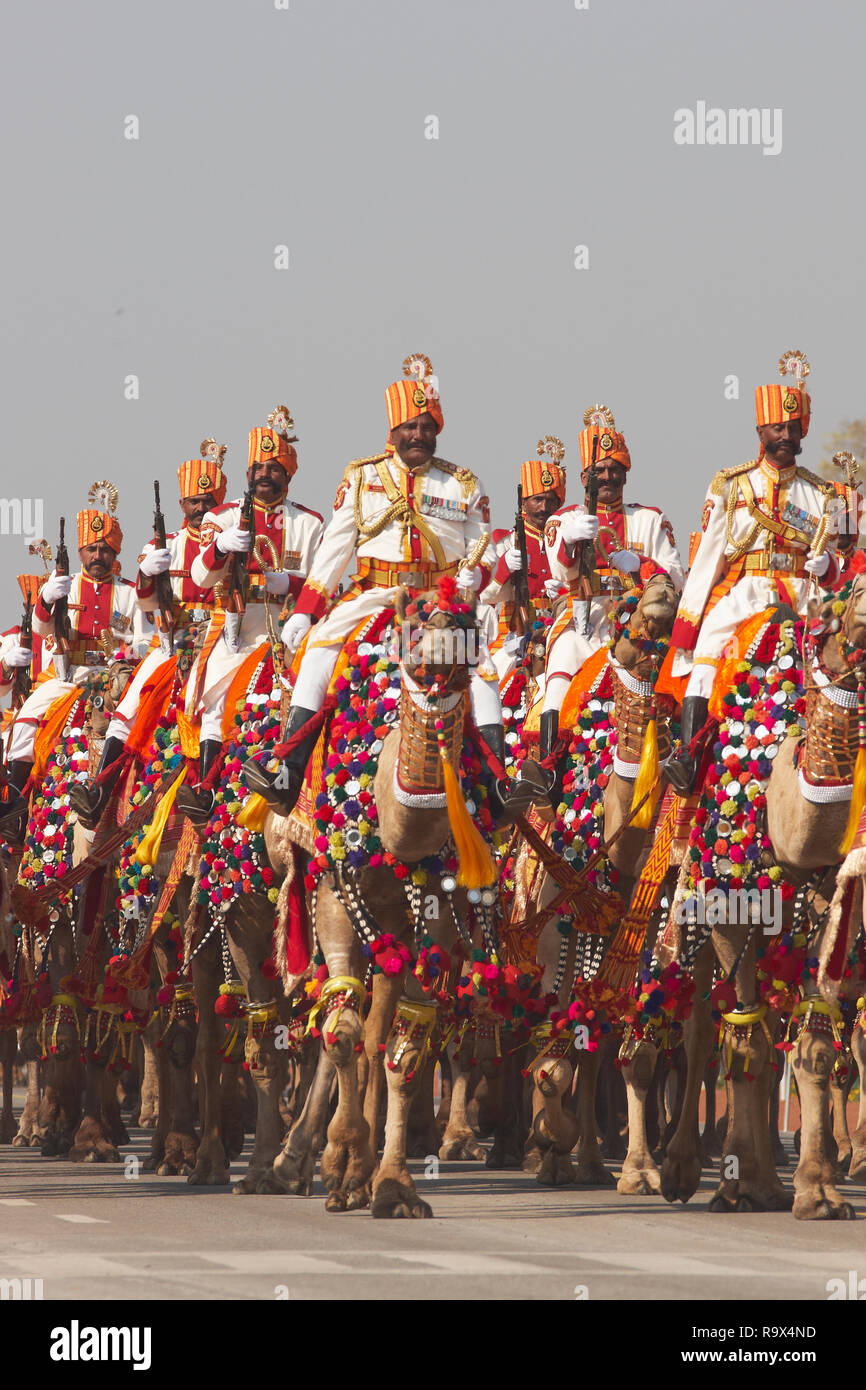 Camel Mounted Stock Photos & Camel Mounted Stock Images - Alamy