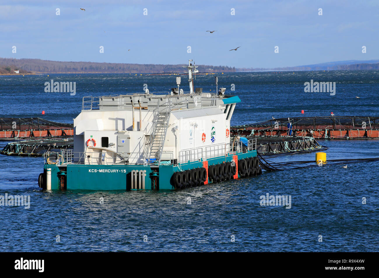 Fish farming pen hi-res stock photography and images - Alamy