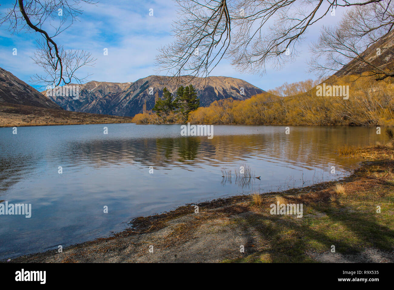 Lake Pearson / Moana Rua Wildlife Refuge, South Island, New Zealand ...