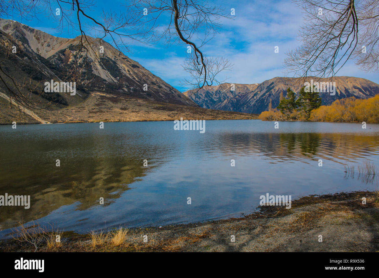 Lake Pearson / Moana Rua Wildlife Refuge, South Island, New Zealand ...