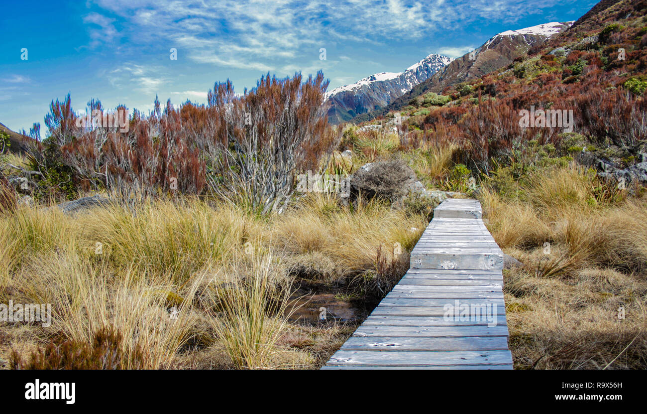 Arthur's Pass National Park, Canterbury, South Island, New Zealand ...