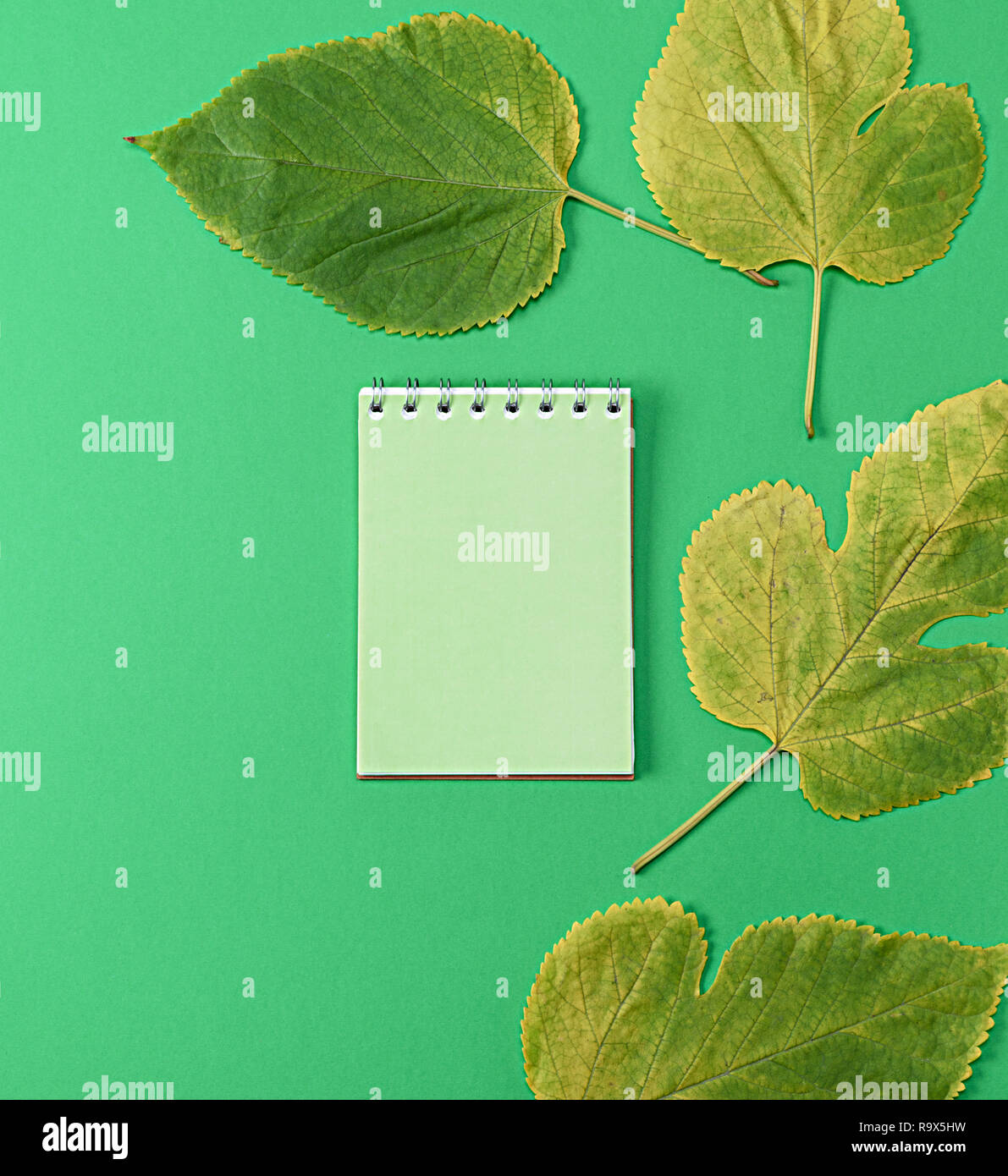 notebook on a green background , next to yellow and green leaves, top ...
