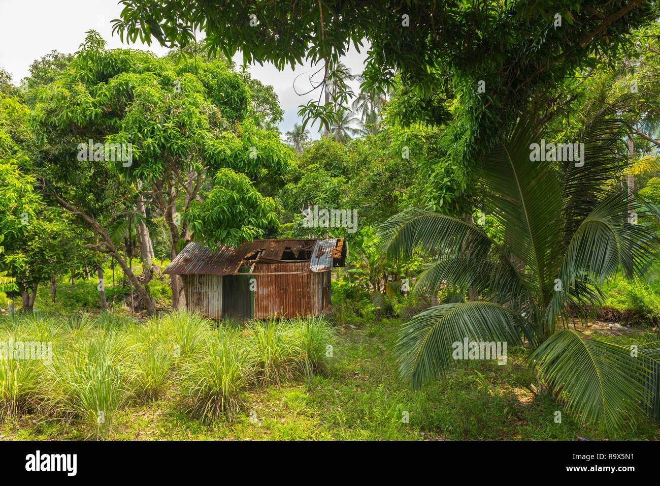 Tin hut hi-res stock photography and images - Alamy