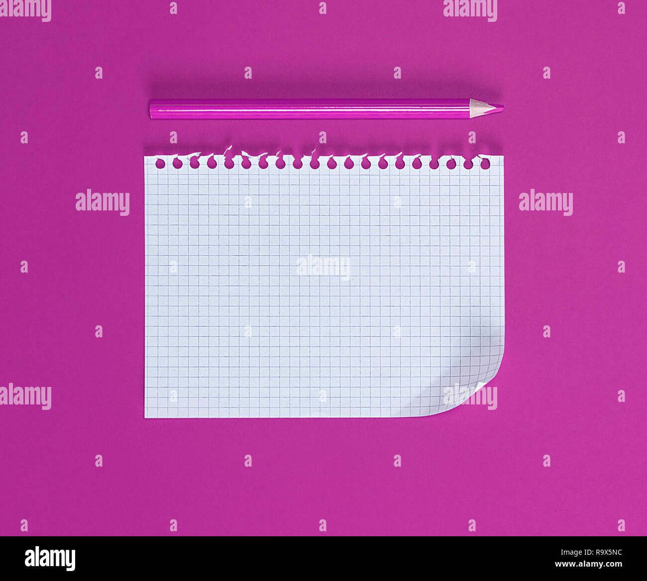 empty rectangular white sheet torn out of notepad and wooden pencil on ...