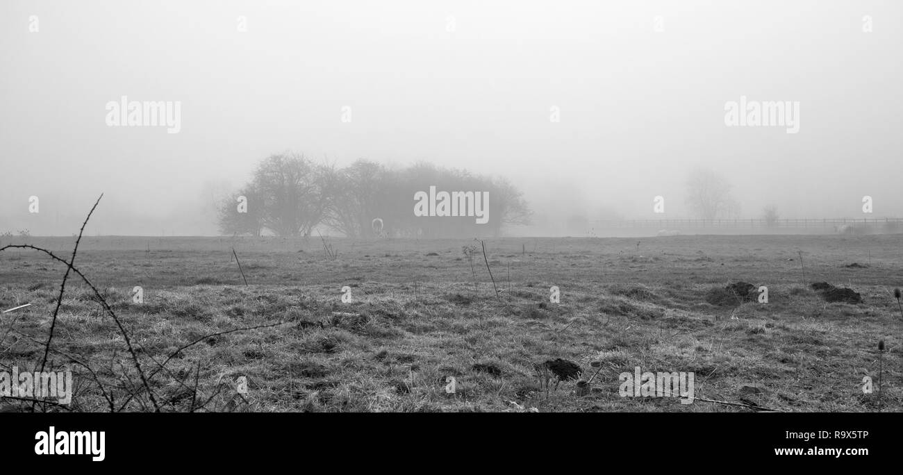 Foggy farm field background Stock Photo - Alamy