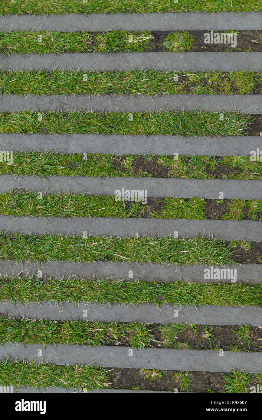Road texture of stone and grass lines in a park Stock Photo - Alamy
