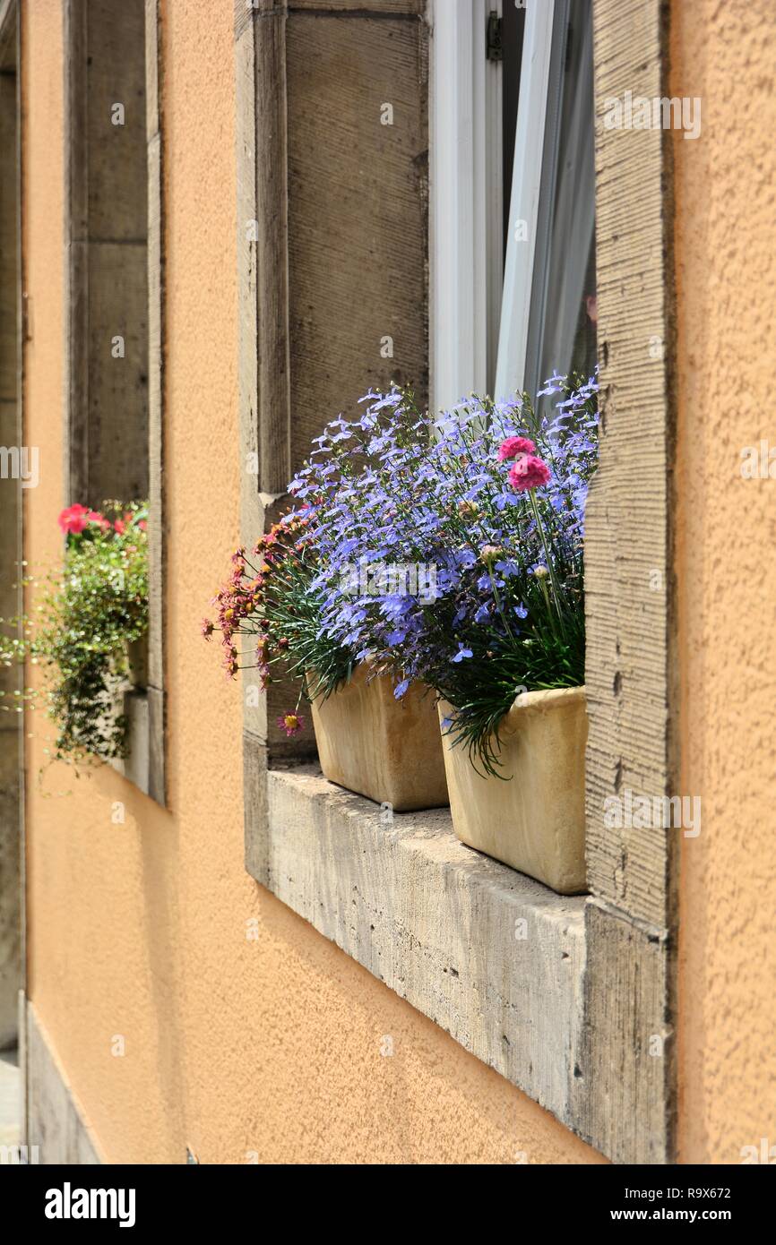 Blooming facade hi-res stock photography and images - Alamy