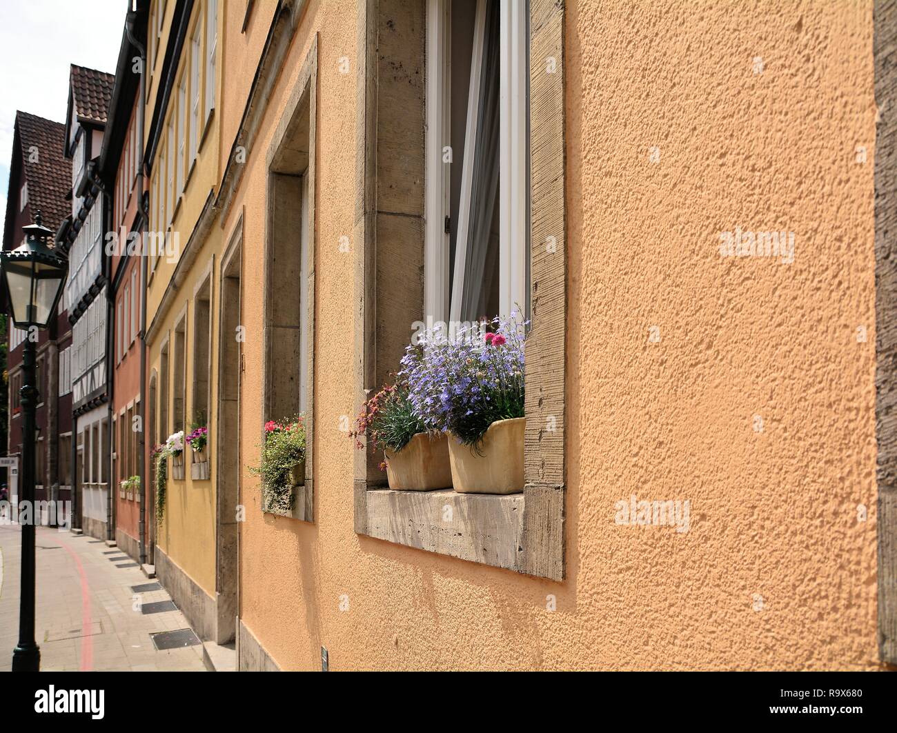 Window ledge plant plants hi-res stock photography and images - Alamy