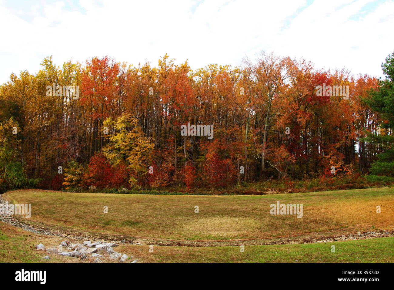 Woods in Autumn Stock Photo - Alamy