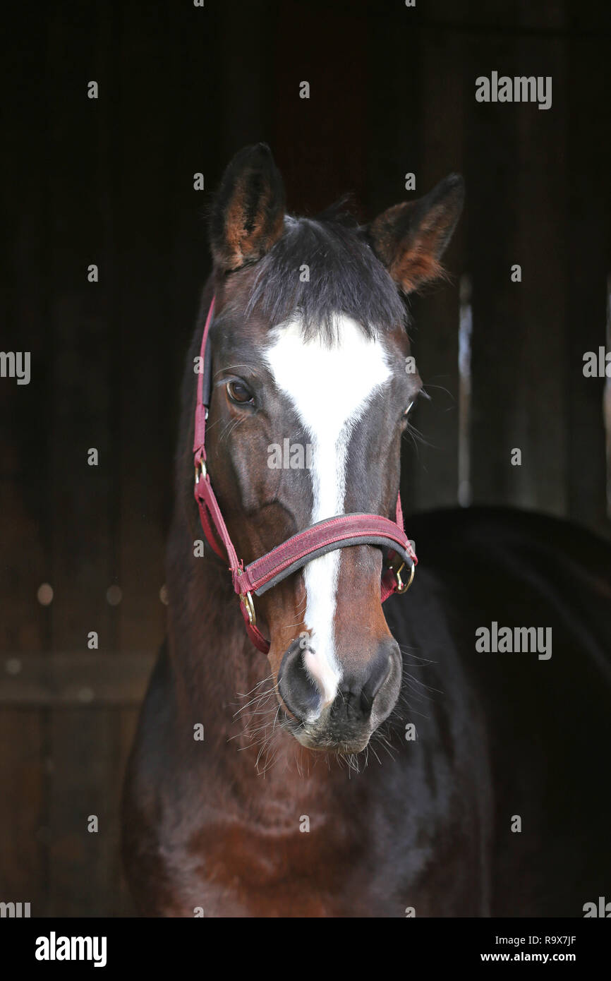 Blurry farm gate hi-res stock photography and images - Alamy