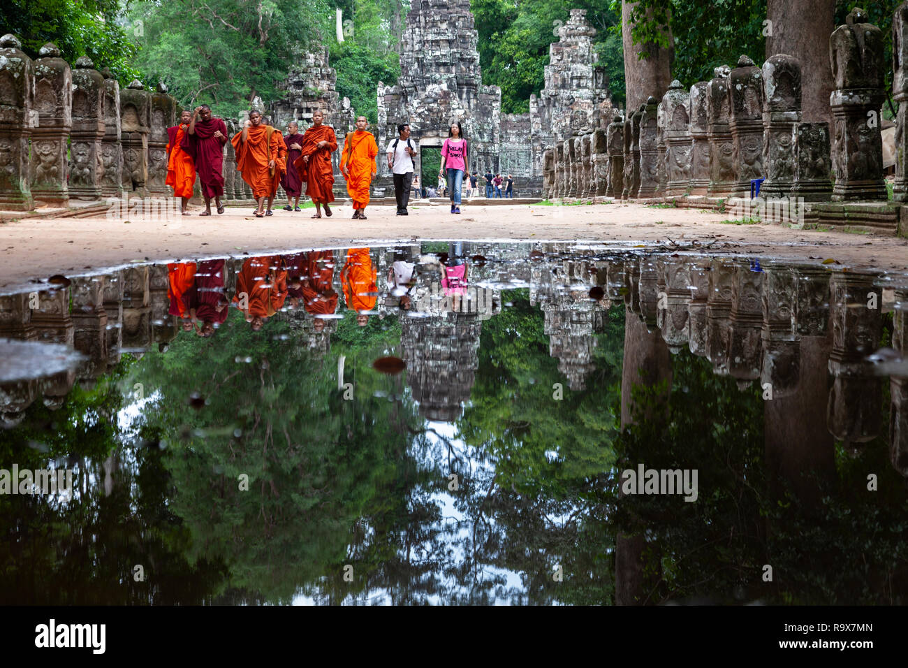 Buddhist monks walk through hi-res stock photography and images - Alamy