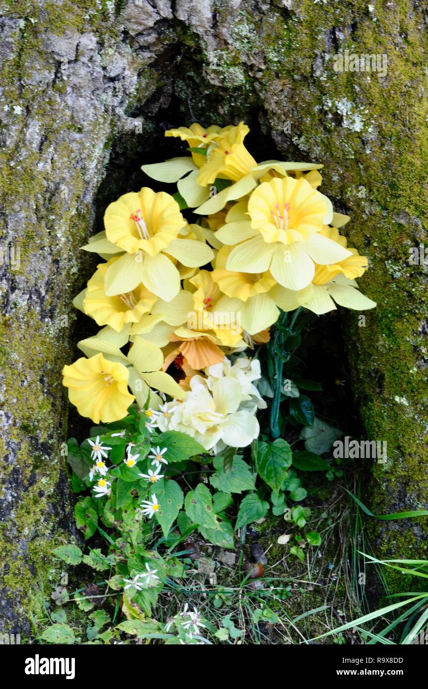 Crook of tree hi-res stock photography and images - Alamy