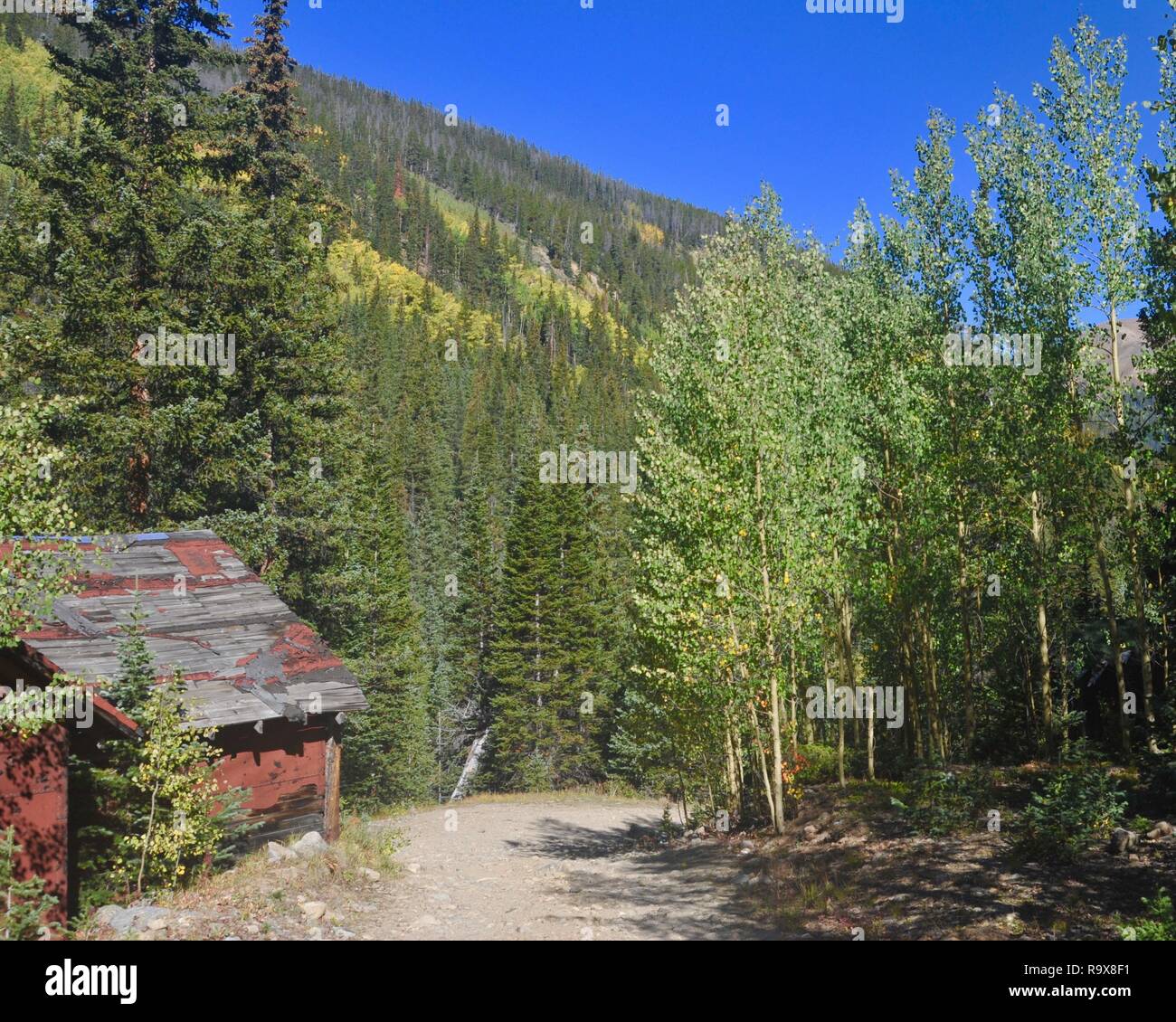 Aspen scenery hi-res stock photography and images - Alamy