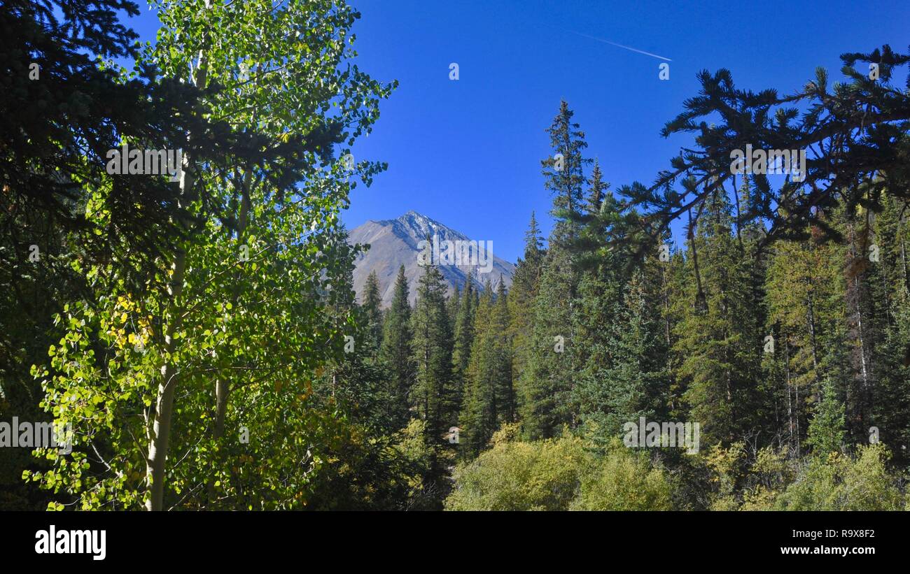 Grizzly gulch hi-res stock photography and images - Alamy