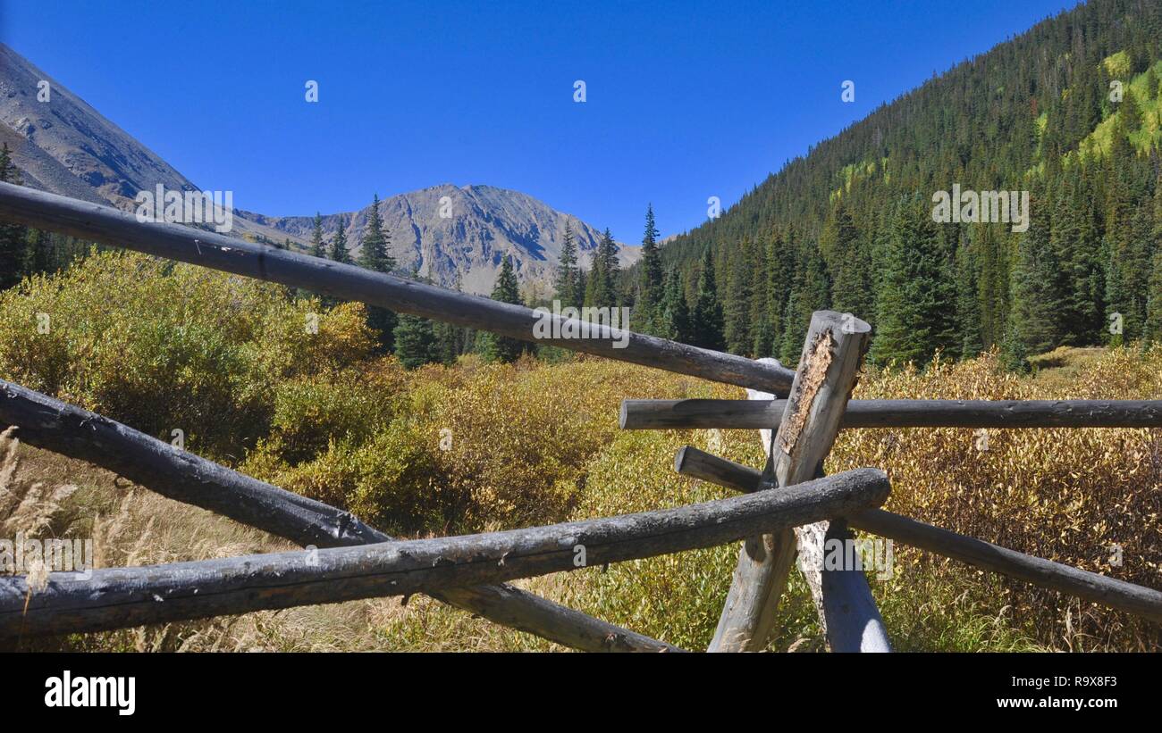 Pine tree gulch hi-res stock photography and images - Alamy