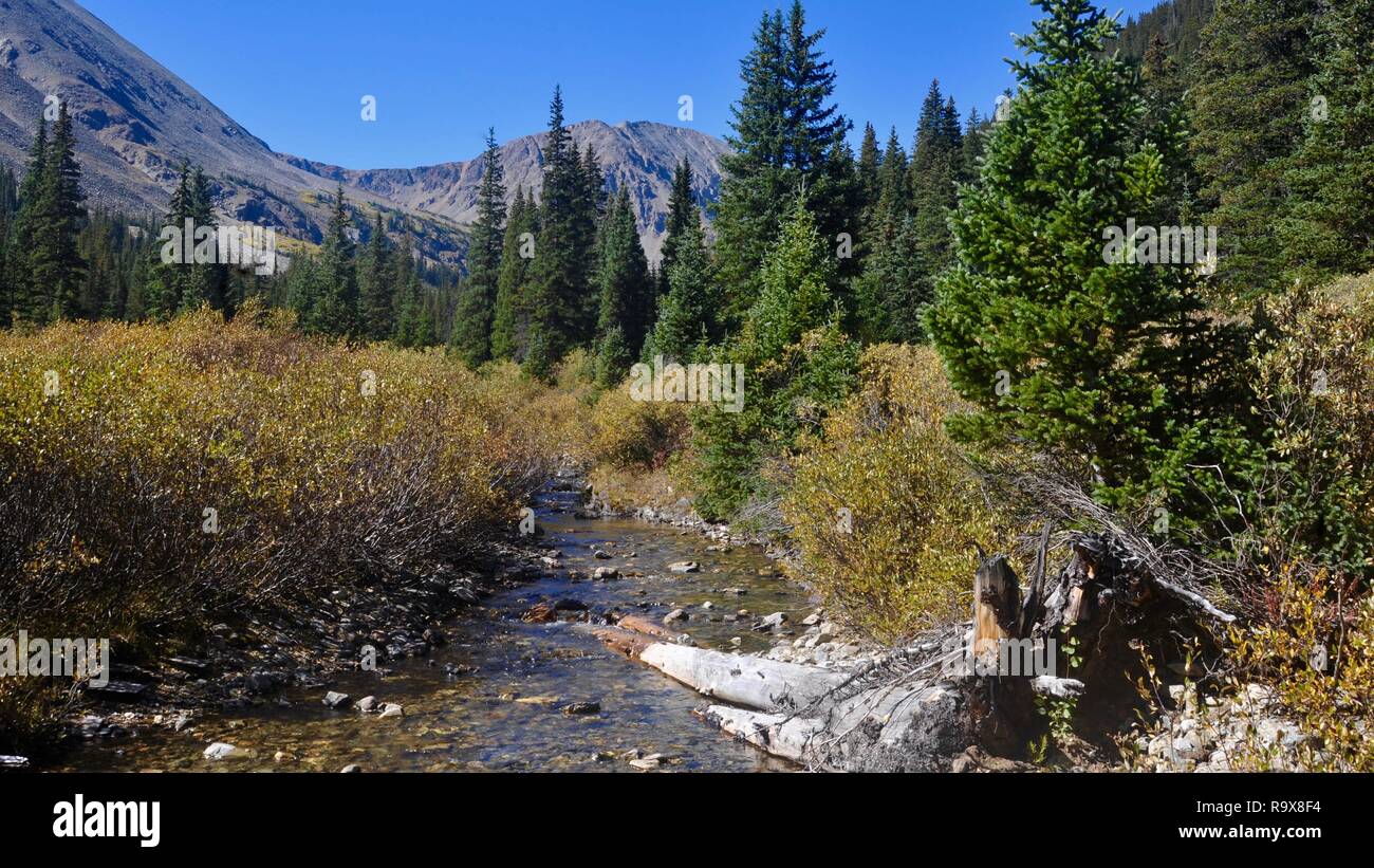 Grizzly gulch hi-res stock photography and images - Alamy