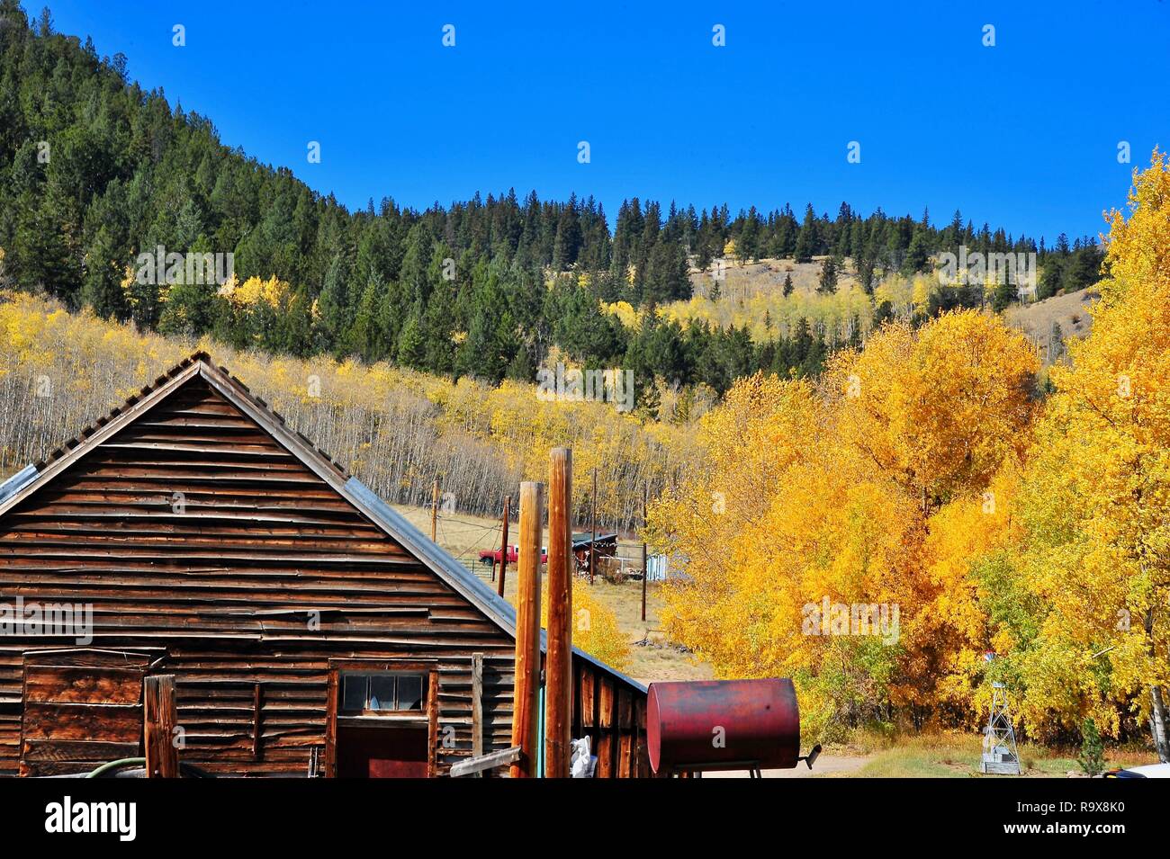 Colorado lake scenic trail aspen hi-res stock photography and images ...