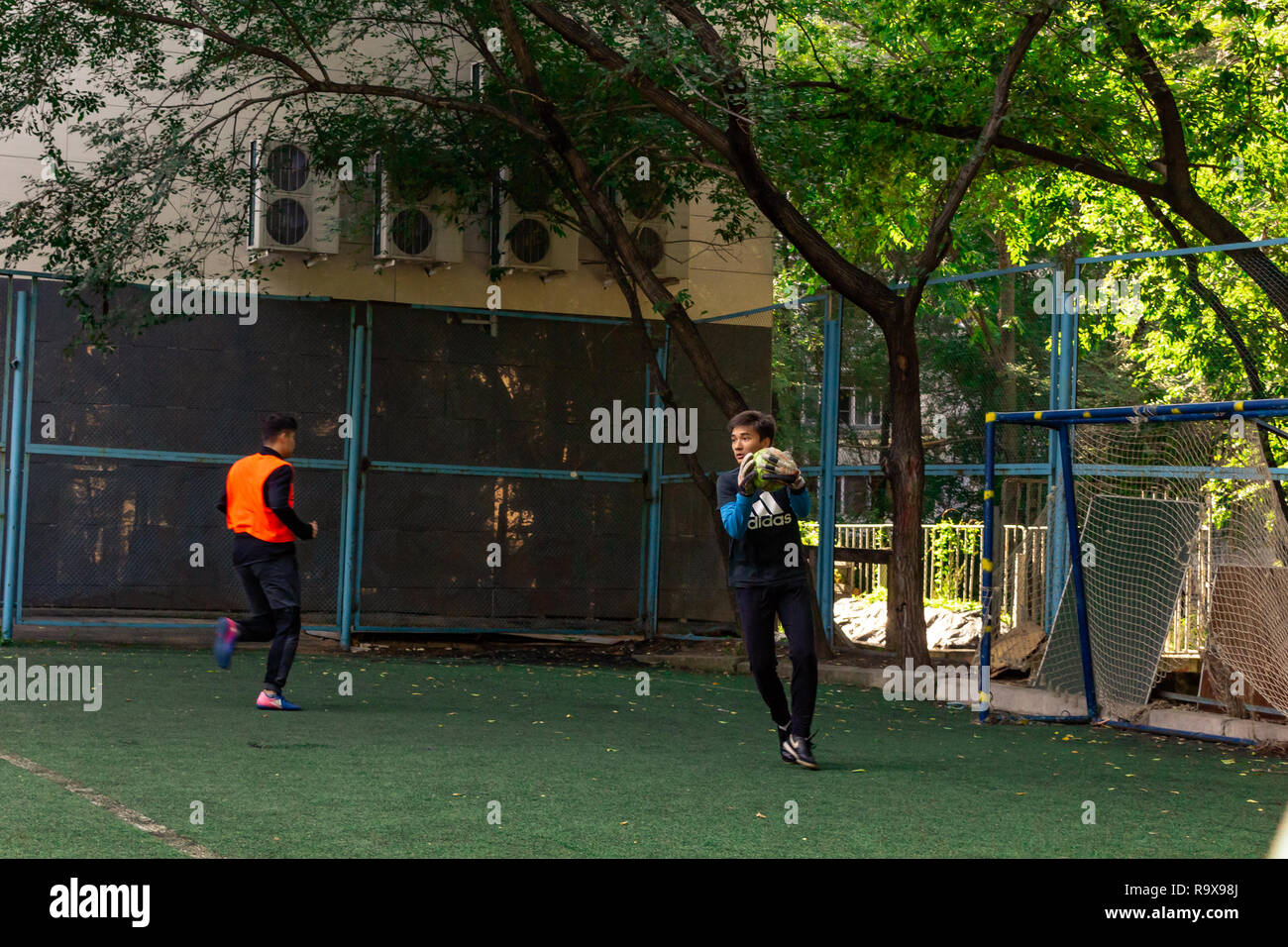 Young people play football on the green grass Stock Photo - Alamy