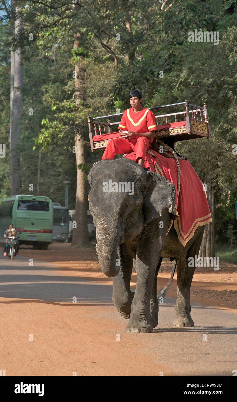 Elephant rider hi-res stock photography and images - Alamy