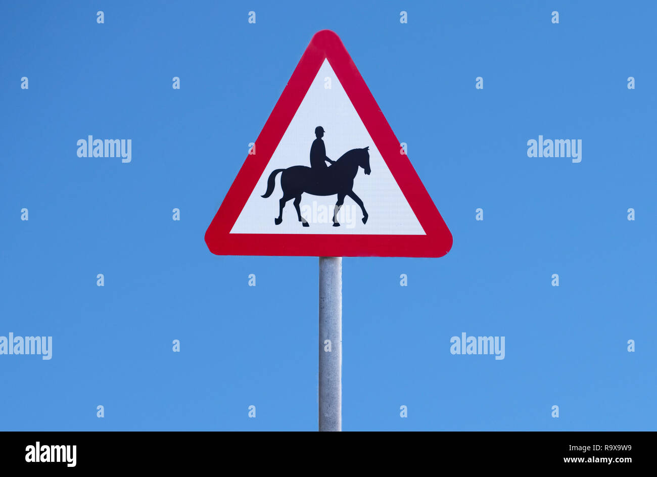 Horse pony riding beware warning sign in blue sky road animal danger of ...