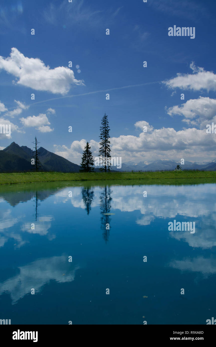 Trees mirror image glassy hi-res stock photography and images - Alamy