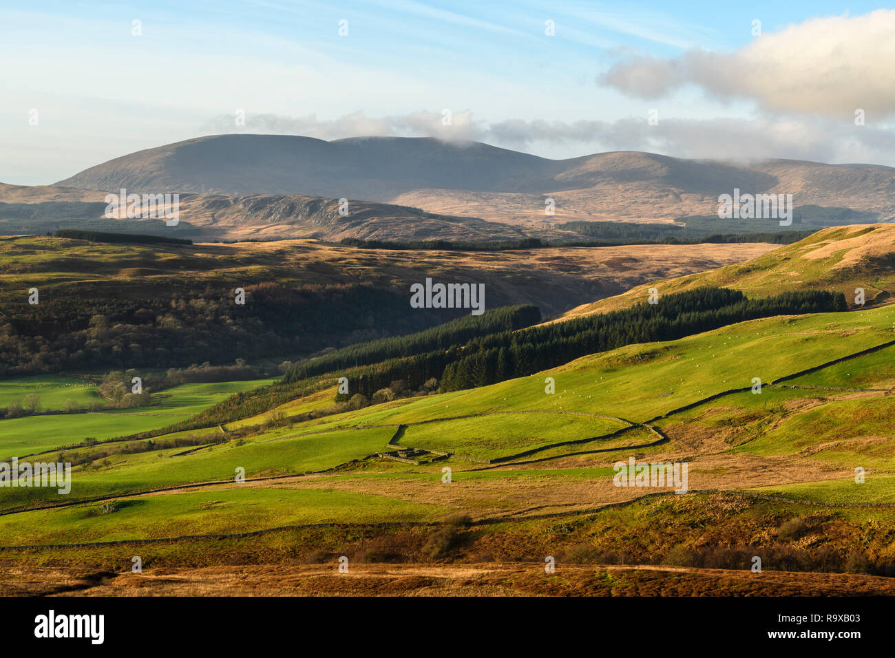 Cairnsmore of Fleet, Galloway Hills, Dumfries & Galloway, Scotland ...