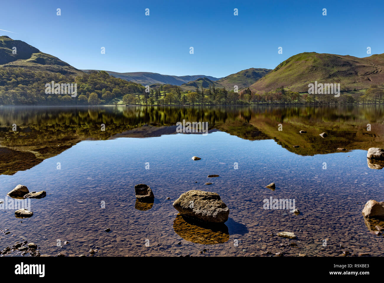 Swimmming hi-res stock photography and images - Alamy