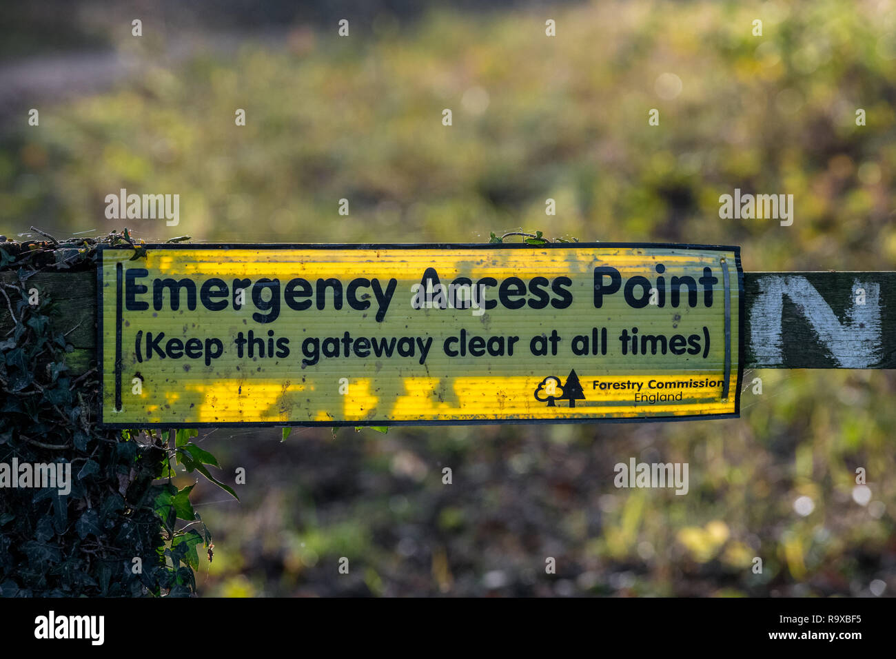 Emergency gate hi-res stock photography and images - Alamy