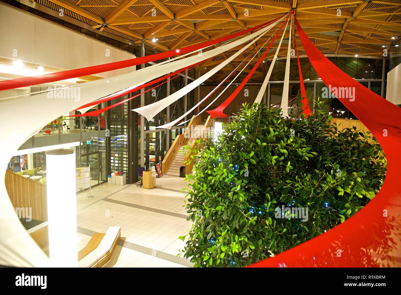 Exeter city library hi-res stock photography and images - Alamy