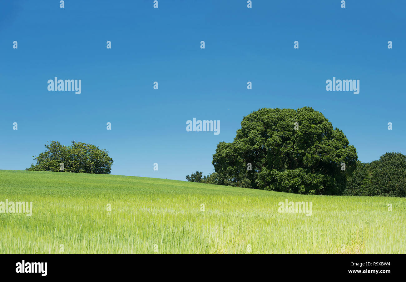 Exeter University Campus Stock Photo - Alamy