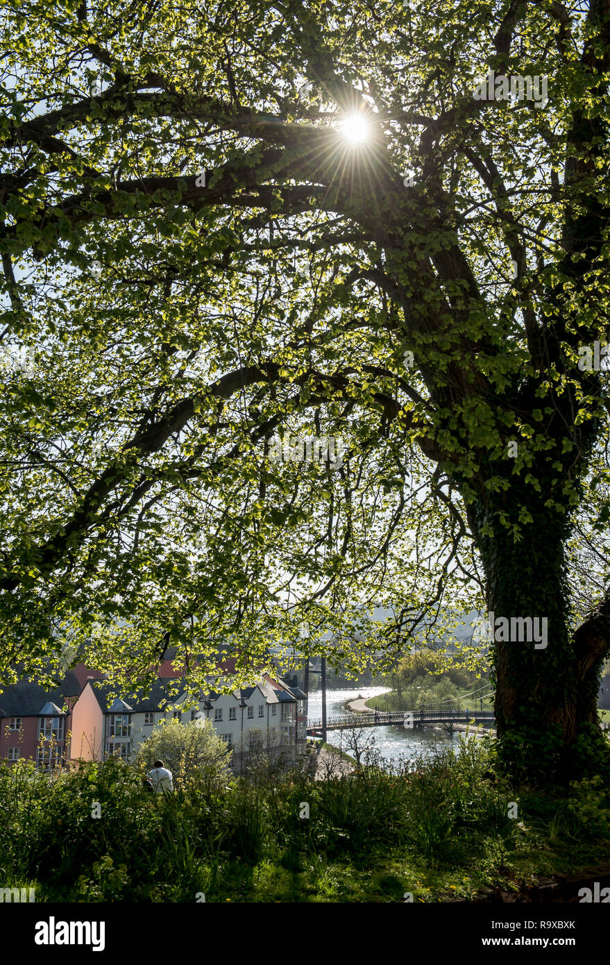 Photography - Nick Harrison Stock Photo - Alamy