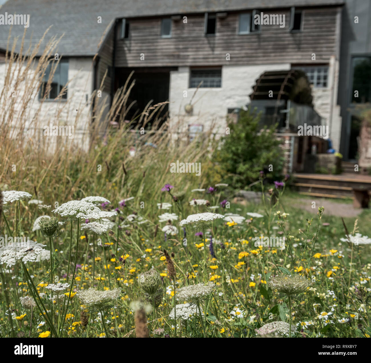 Photography - Nick Harrison Stock Photo - Alamy