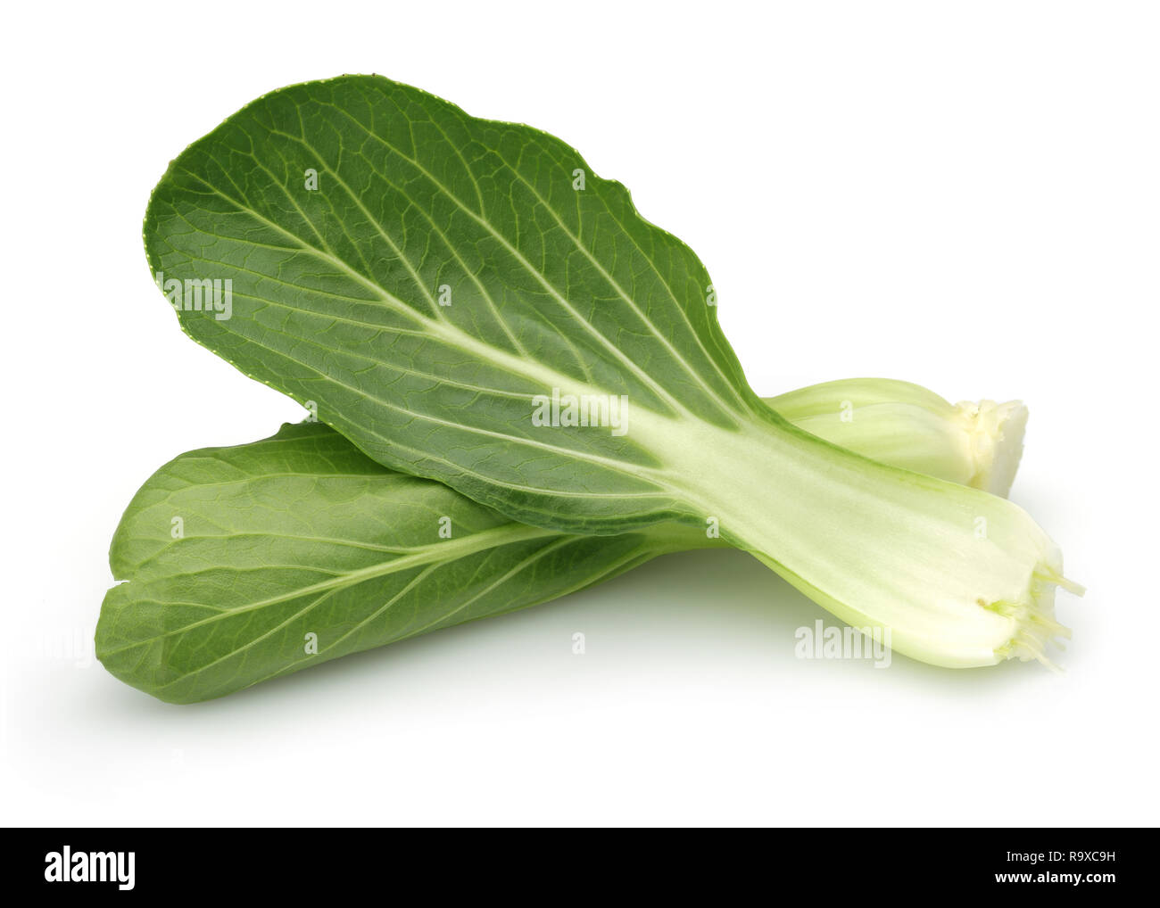 Bok Choy, Chinese cabbage isolated on white background Stock Photo - Alamy