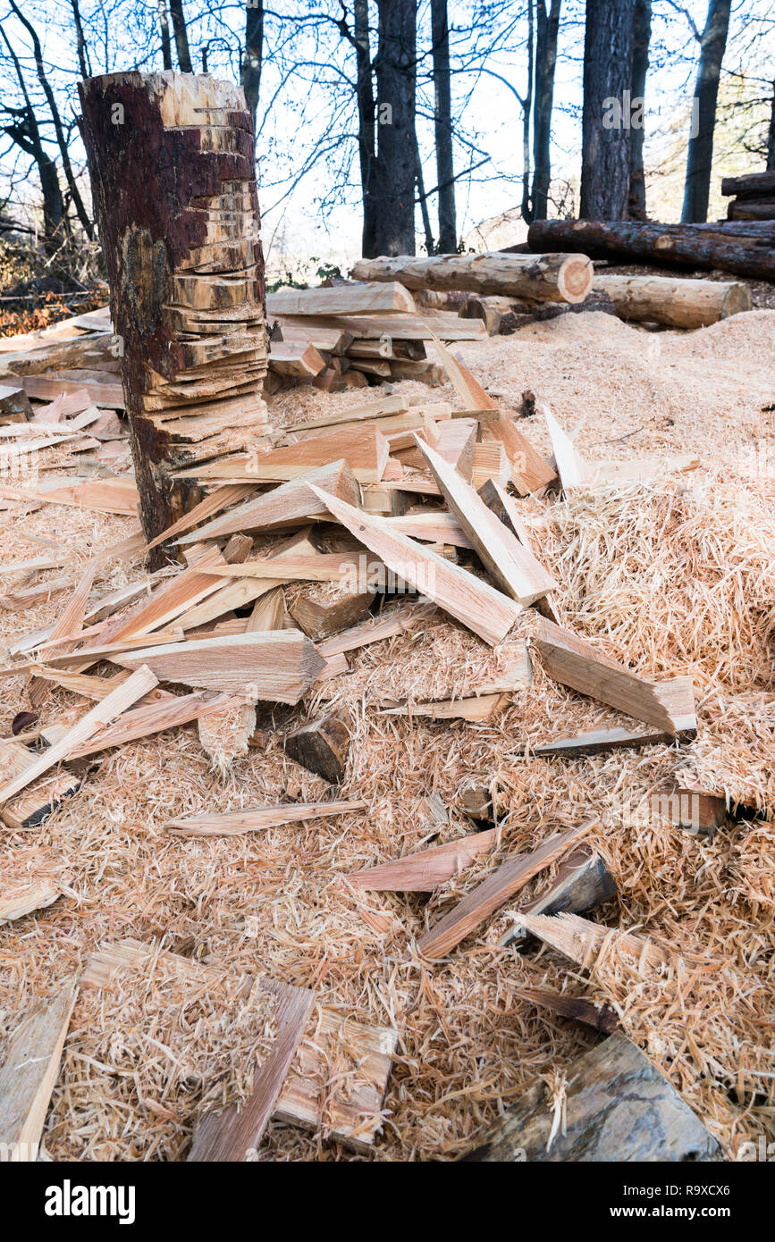 outdoor workshop for lumberjack and forest warden to cut wood and ...