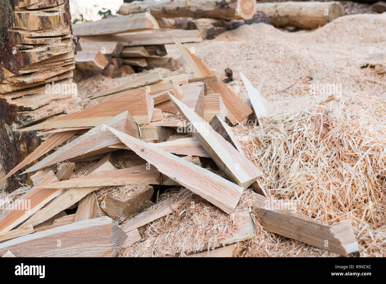 outdoor workshop for lumberjack and forest warden to cut wood and ...