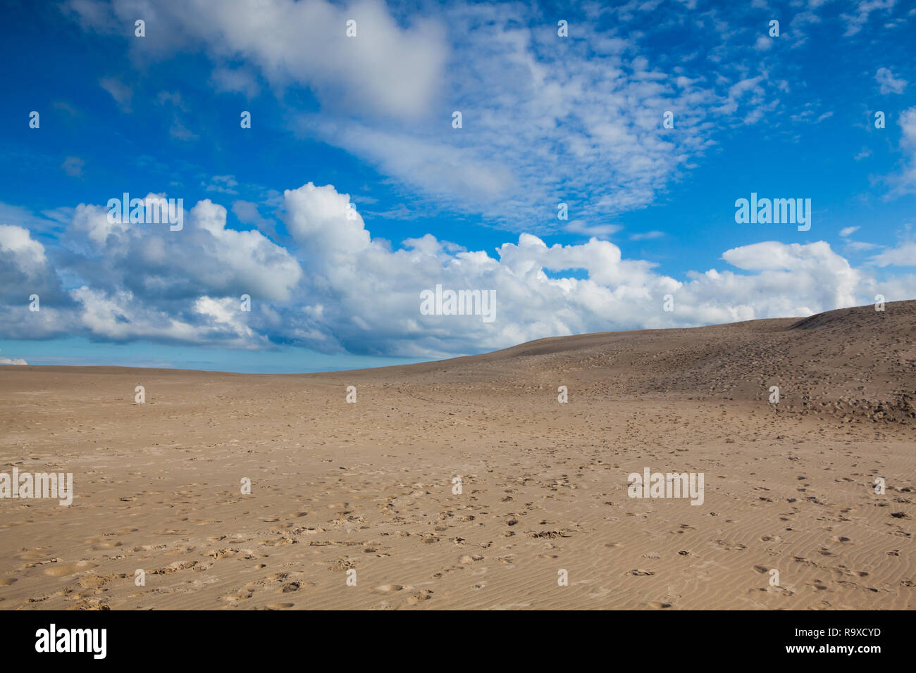 Migrating sand dunes hi-res stock photography and images - Alamy