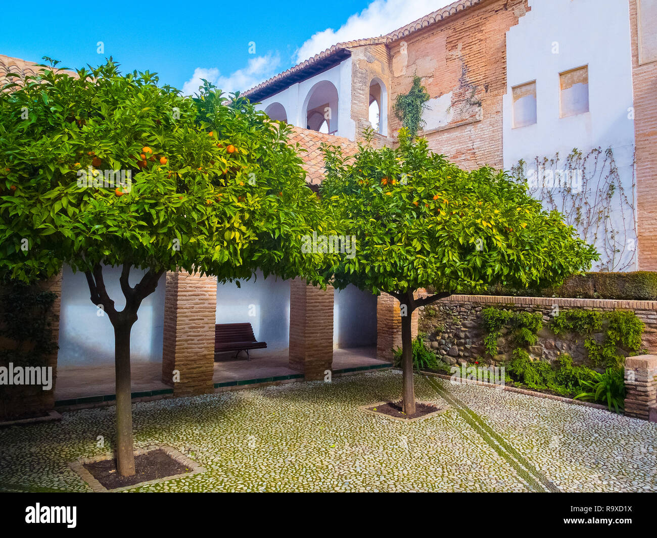 The two trees full of oranges in the garden between the houses Stock ...