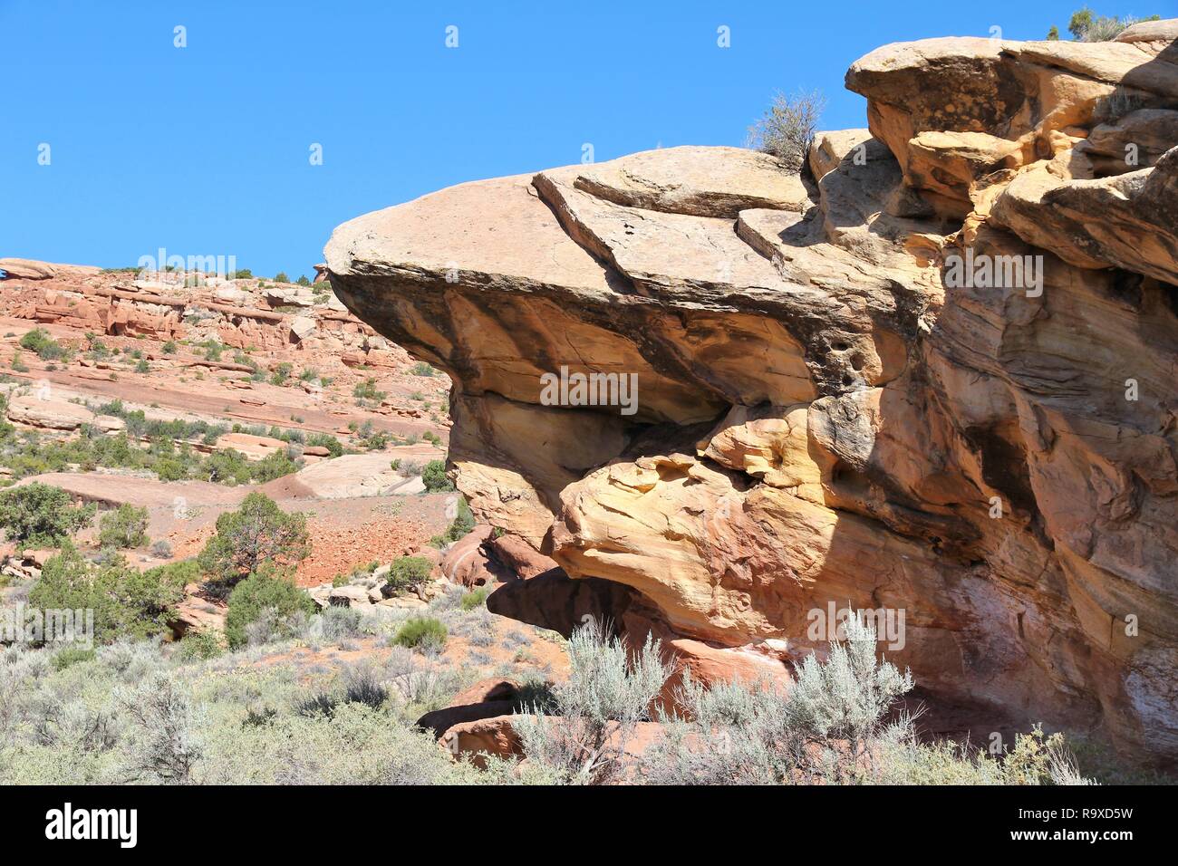 American nature hi-res stock photography and images - Alamy
