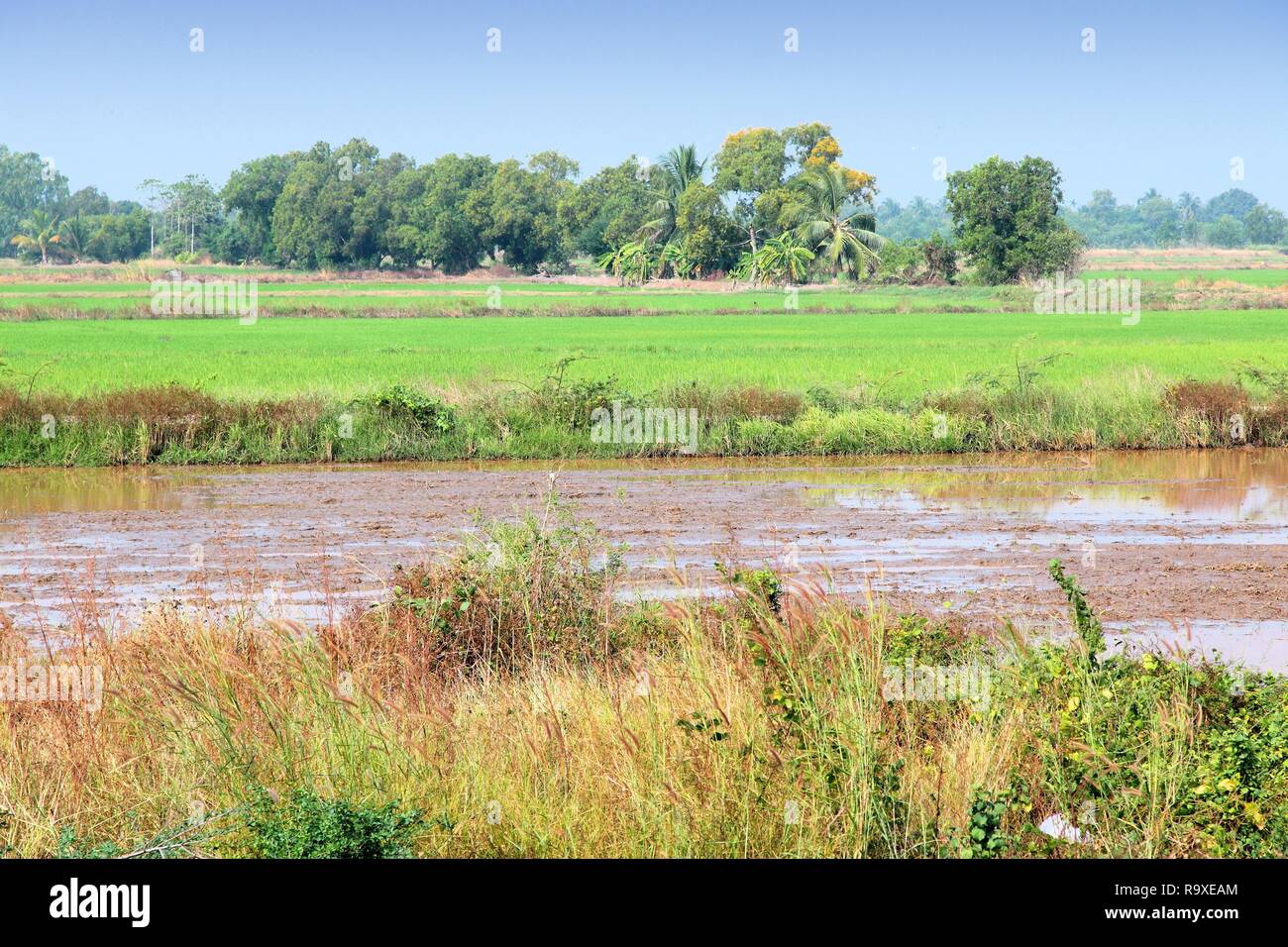 Thailand, Southeast Asia - countryside view of Prachin Buri province ...