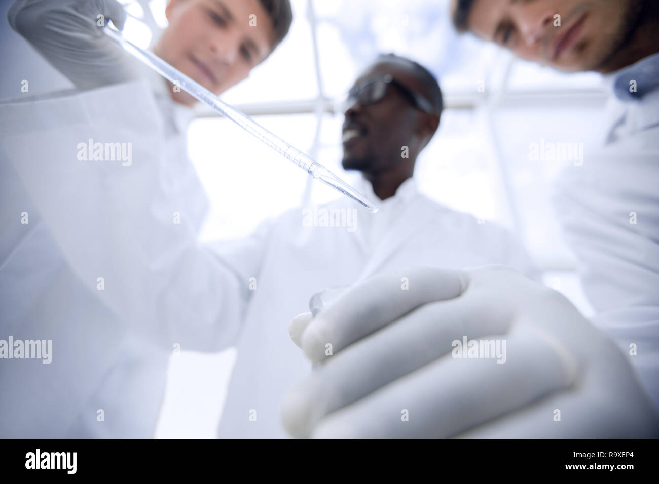 Male scientists researching in lab hi-res stock photography and images ...