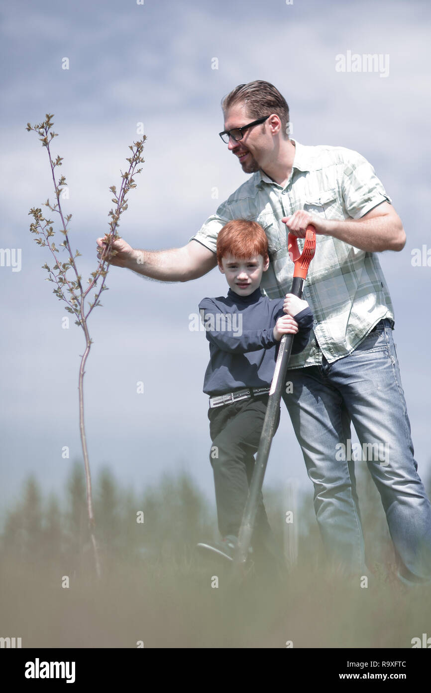 father and son planting a tree - working together Stock Photo - Alamy