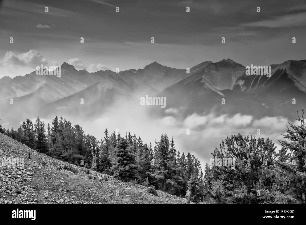 Bow Valley, Banff National Park, Alberta,Canada, North America Stock ...