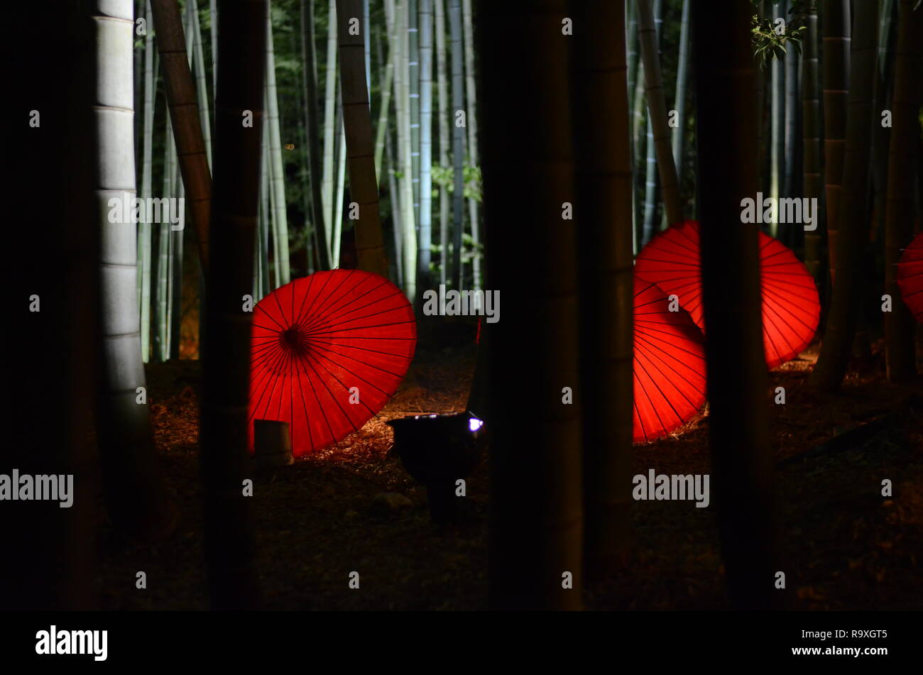 Bamboo forest japan night hi-res stock photography and images - Alamy